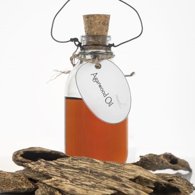 MASSOIA BARK OIL - Indonesia Supplier Essential Oils, Spices, Woods