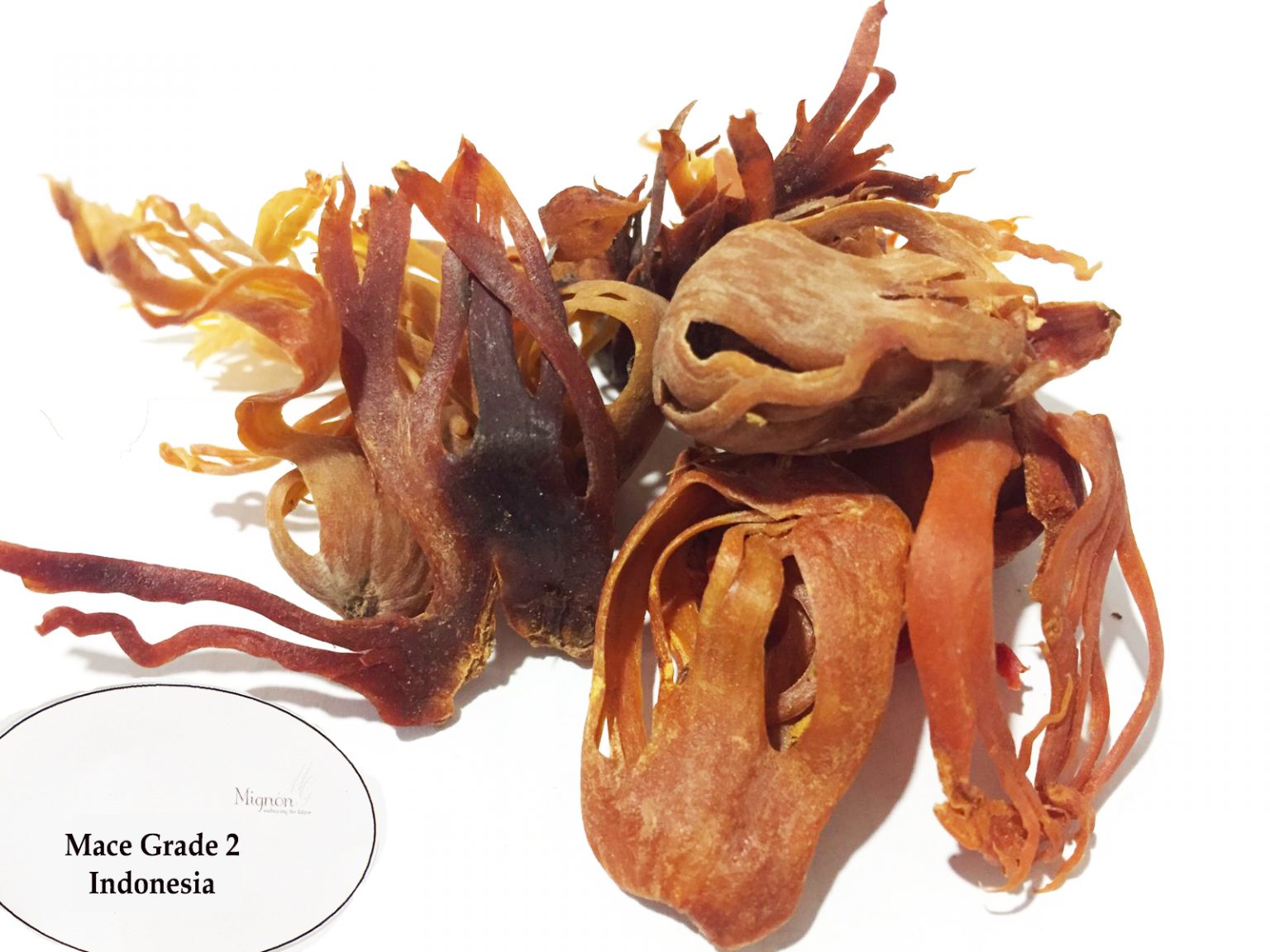 MACE - Indonesia Supplier Essential Oils, Spices, Woods